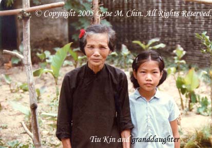 Huang Village Chin Family Tree